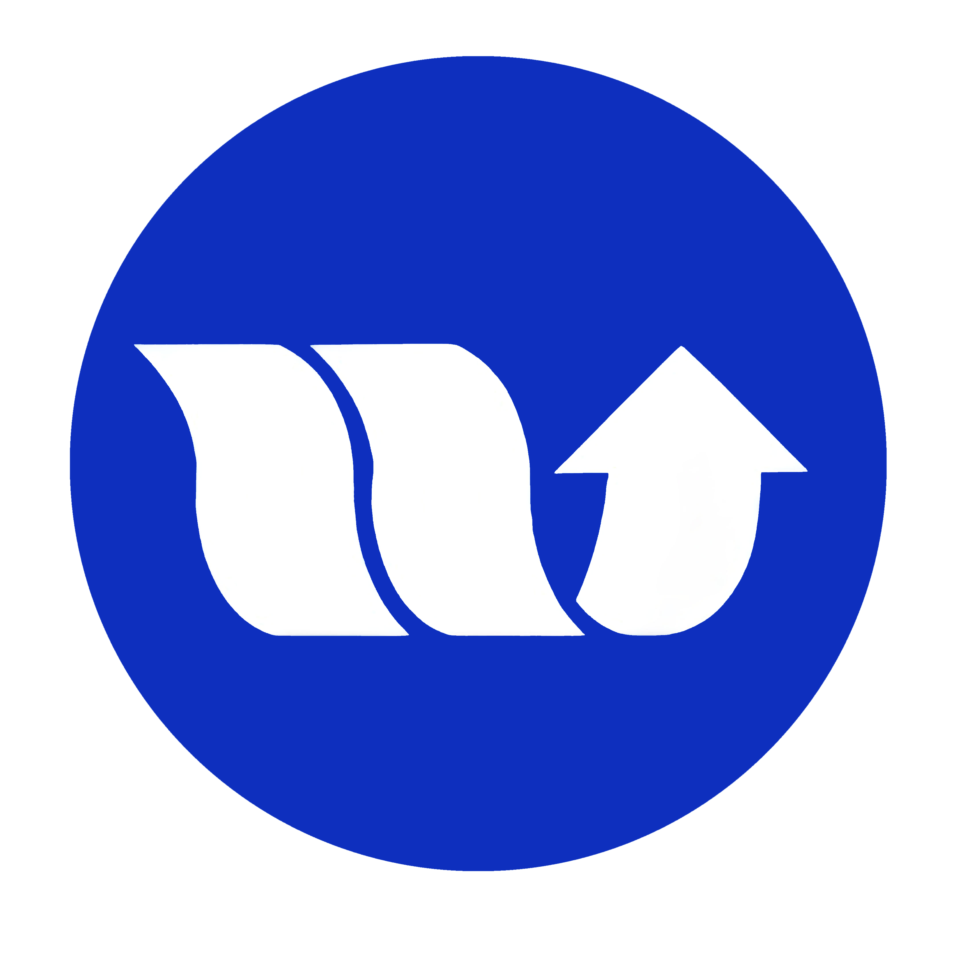 Leveraging Big Data for Informed Business Decisions